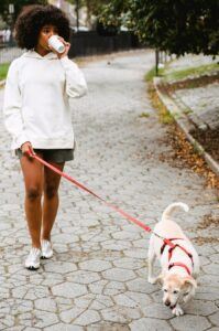 Improve Loose Leash Walking: Part 1 - Front Range Pet Stop